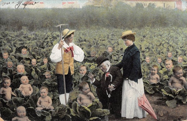 Babies in Cabbage Patch Antique Postcard (J22244) - Mary L. Martin Ltd ...
