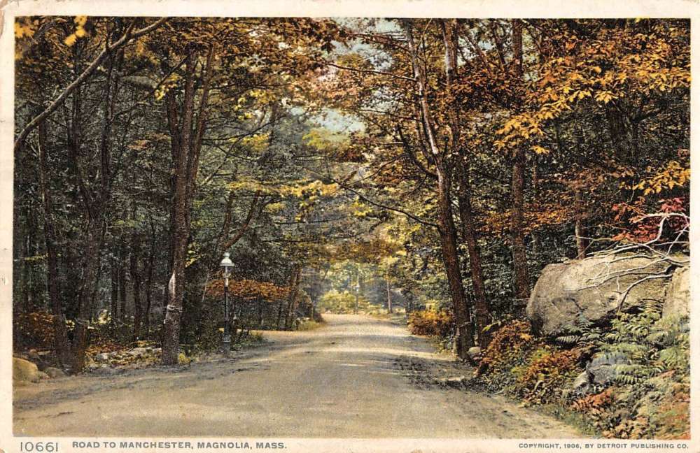 Magnolia Massachusetts Manchster Road Scenic View Antique Postcard ...