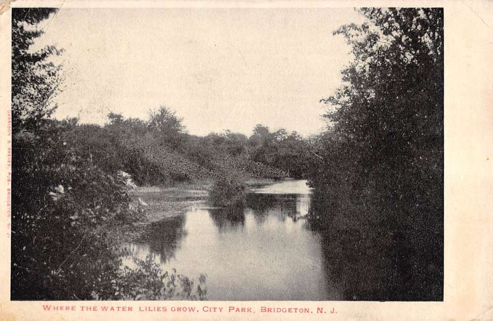 Bridgeton New Jersey City Park Waterfront Antique Postcard K83286 ...