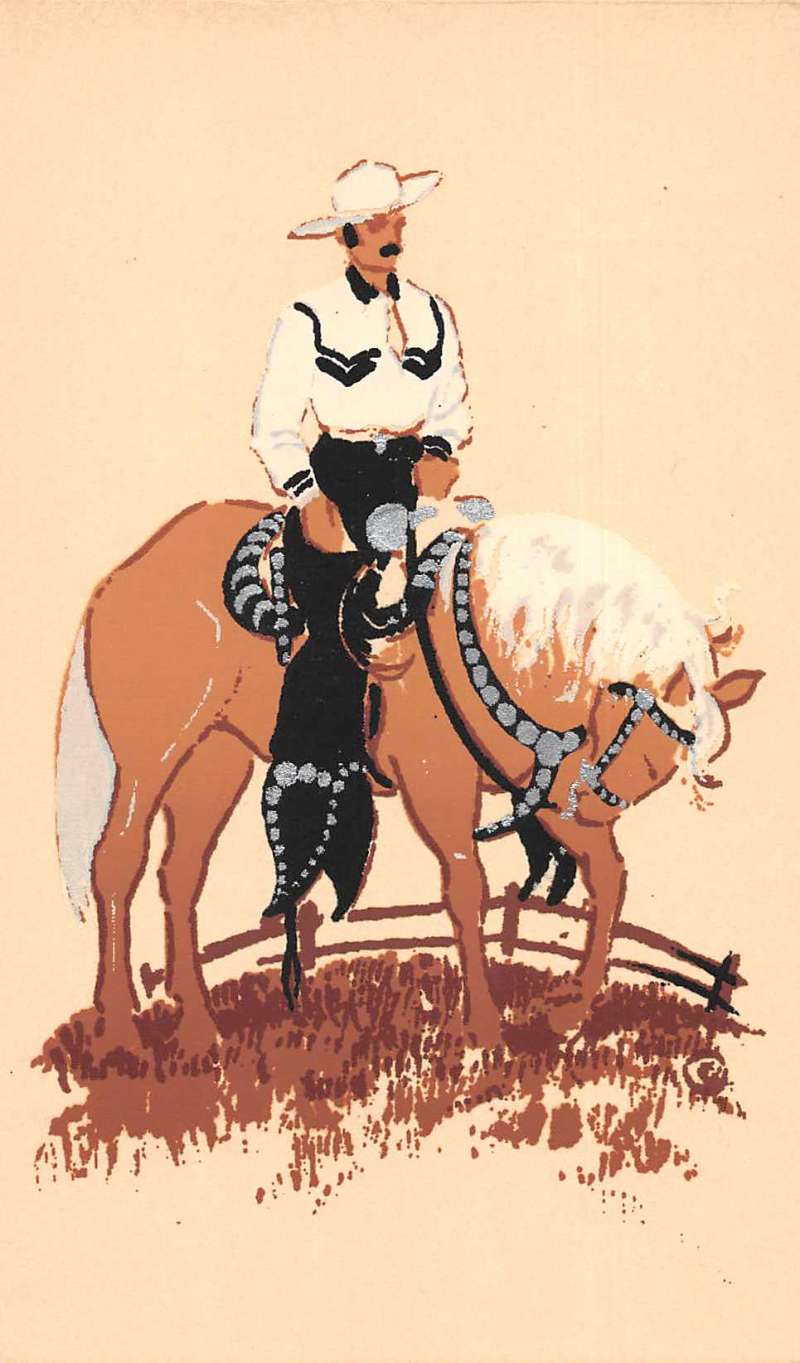 Cowboy Vintage Postcards Child Cowboy Like Old Western Film & Lassoo