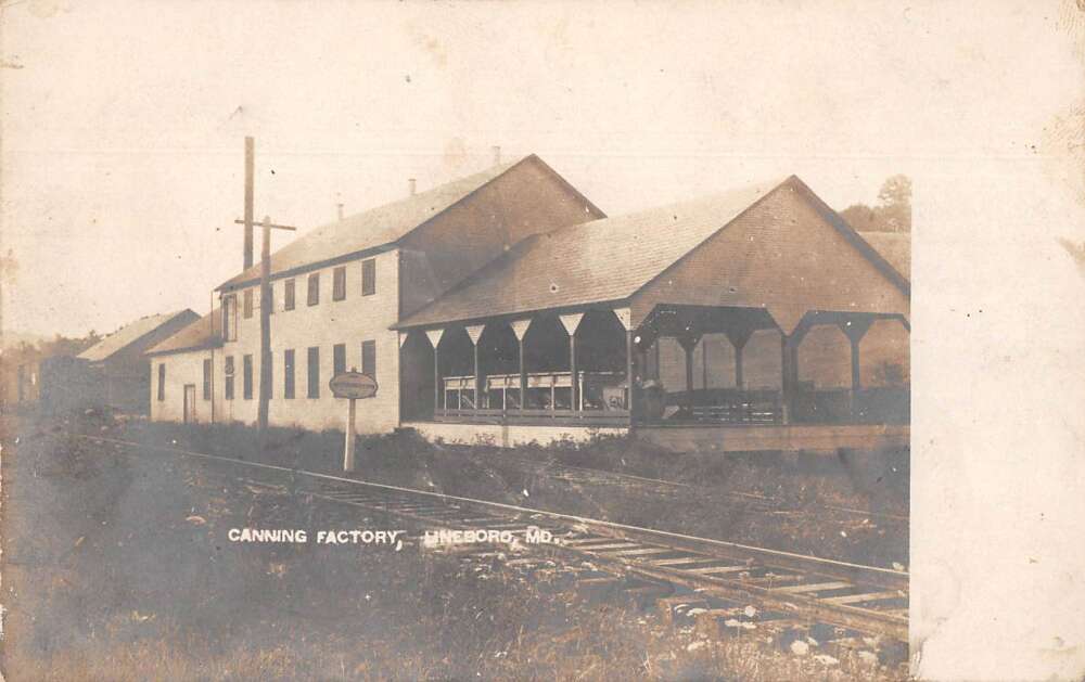 Lineboro Maryland Canning Factory Real Photo Vintage Postcard AA46832 ...