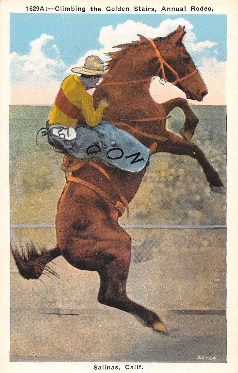 Vintage Cowboy Postcard