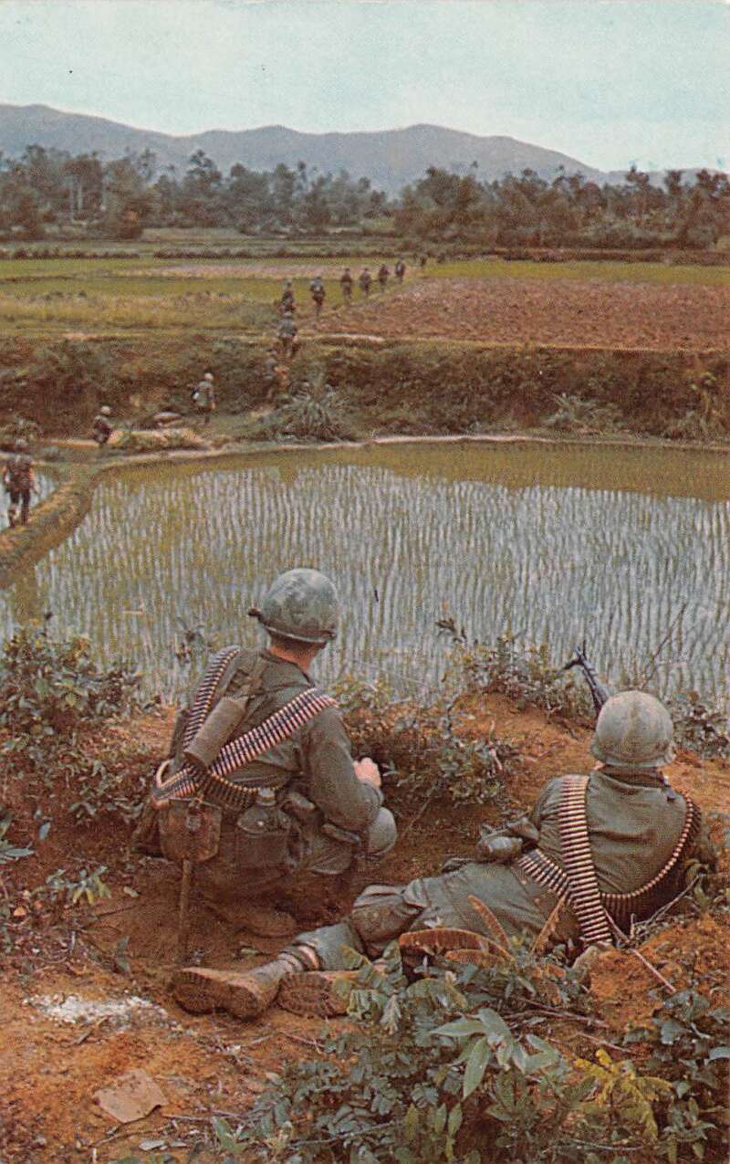 US Military Vietnam War Machine Gun Crew in Rice Paddy Postcard AA69287 ...