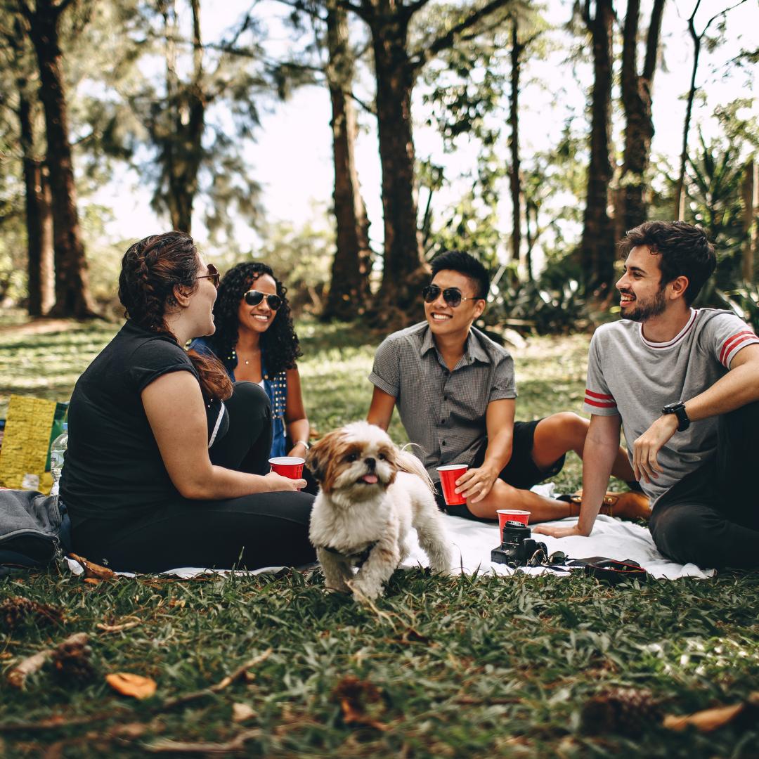 Understanding Postcard Postmarks: Decoding History in Your Collection ...