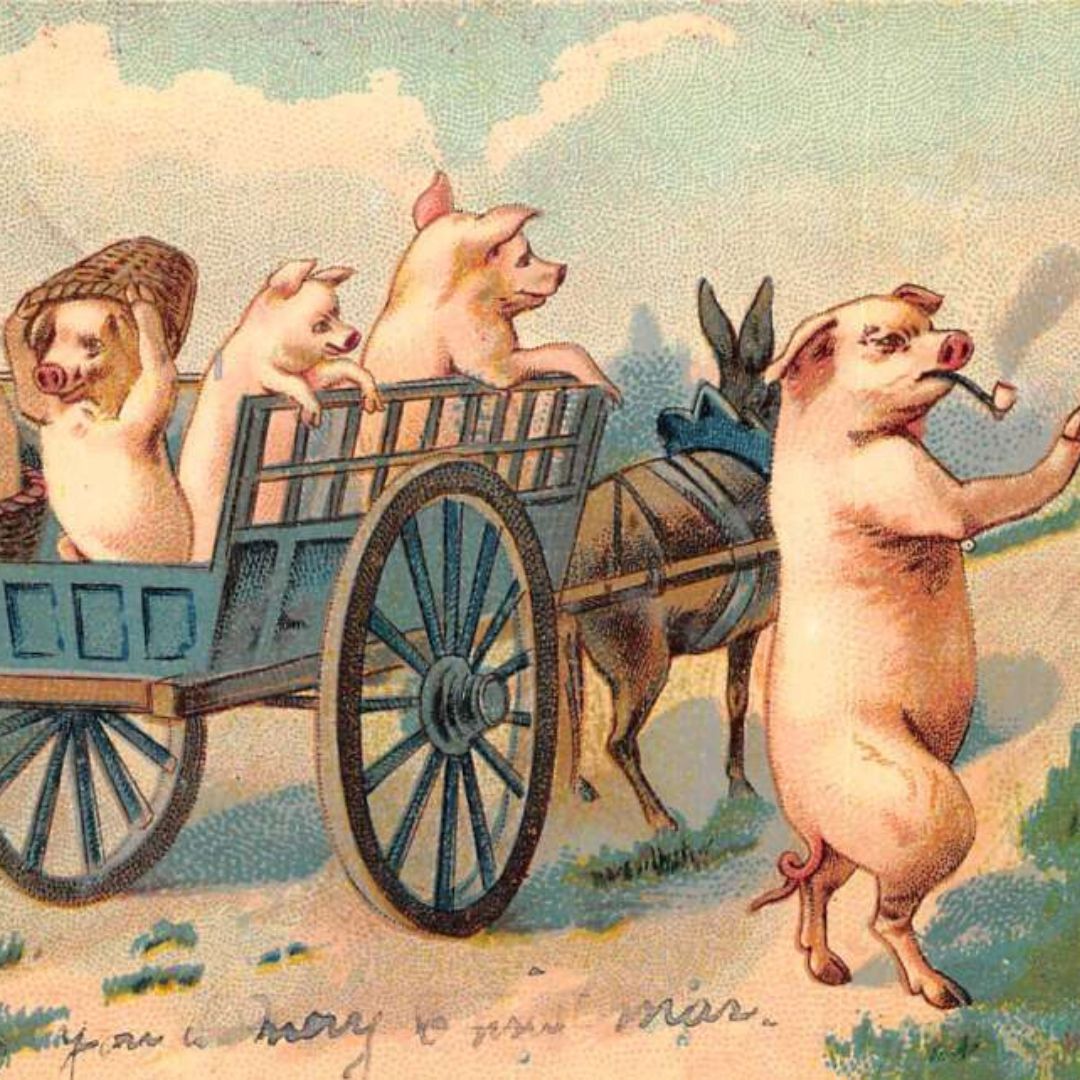 A Guide to Quirky and Unusual Postcard Collections - Learn More