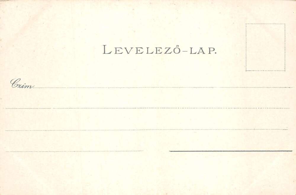 Pressburg Pozsony Czechoslovakia Birds Eye View Vintage Postcard ...